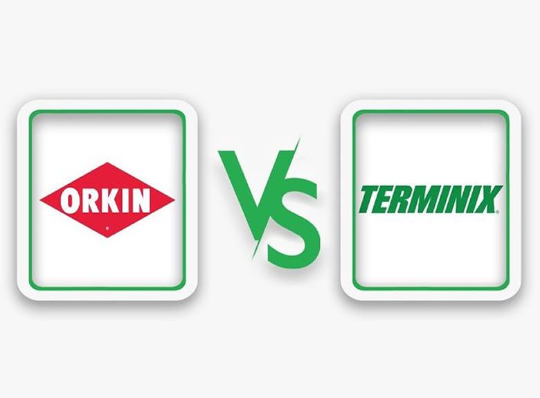 Terminix Vs Orkin ⋆ TermiteHQ