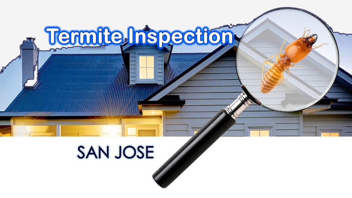 Termite Inspection San Jose ⋆ TermiteHQ