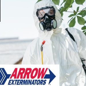 Arrow Exterminators Termite Plans Reviewed For 2025: Are They Worth It ...