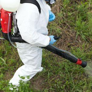 Orkin Termite Services Reviewed: Pros, Cons, And Costs Explained ⋆ ...